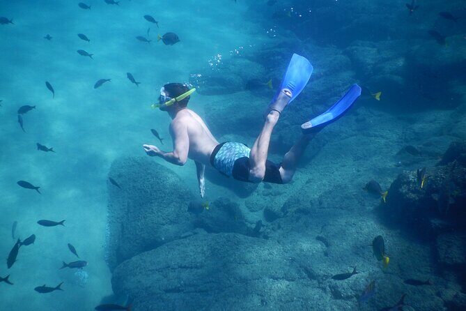 Beach Hopper, Amazing Snorkel Experience At Los Cabos! - Analyzing the Value