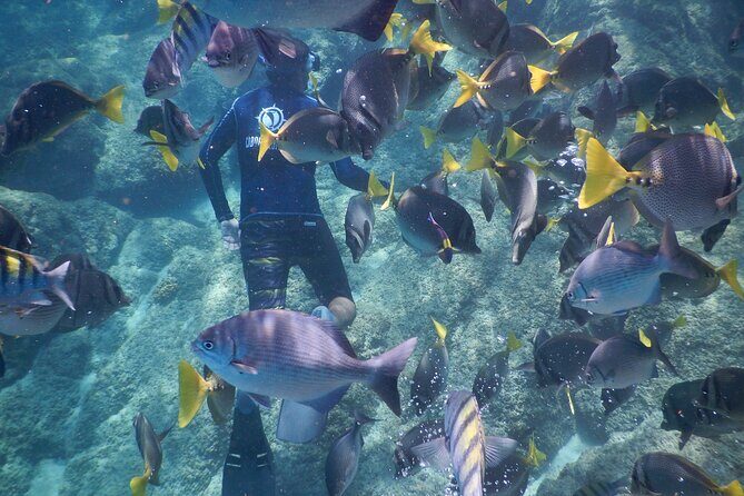 Beach Hopper, Amazing Snorkel Experience At Los Cabos! - Who Should Consider This Tour?
