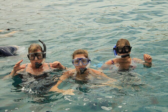 Beach Hopper, Amazing Snorkel Experience At Los Cabos! - The Sum Up