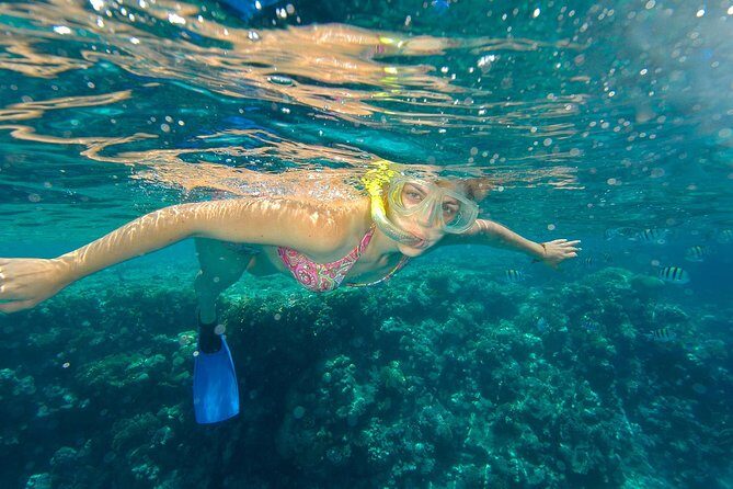 Beach Hopper Small-Group Snorkeling Tour in Los Cabos - The Itinerary Breakdown