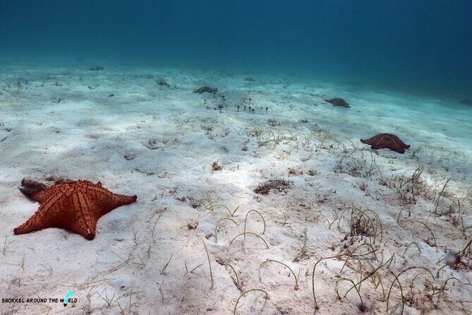 Beach hopping Private Jeep Tour with Champagne included - Who Will Love This Tour?