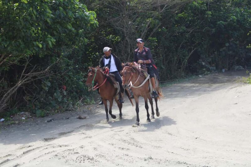 Beach horse back riding with countryside - Key Points