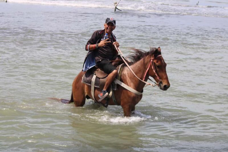 Beach horse back riding with countryside - Welcome and Pickup: Starting Your Adventure
