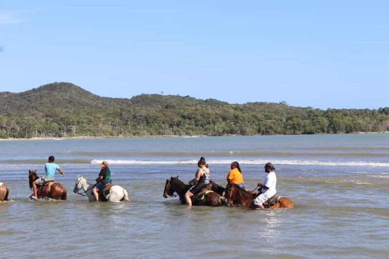Beach horse back riding with countryside - Practical Details: What You Need to Know