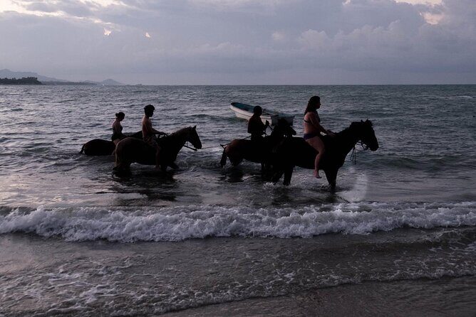 Beach Horse Ride with countryside amber cove & Taino Bay - An Introduction to the Experience