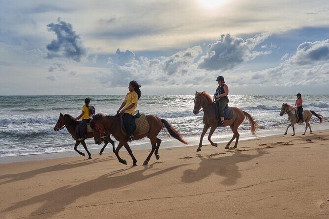 Beach Horse Riding Activity in Phuket - An Authentic Ride Along Phuket’s Beaches