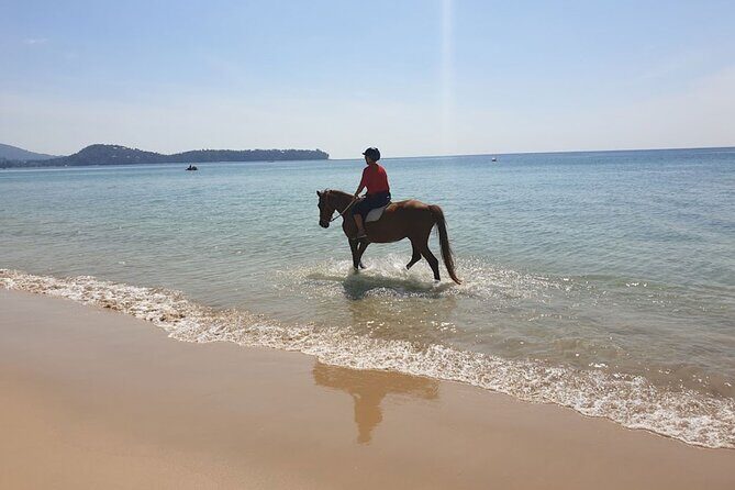 Beach Horse Riding Activity in Phuket - Who Will Love This Tour?