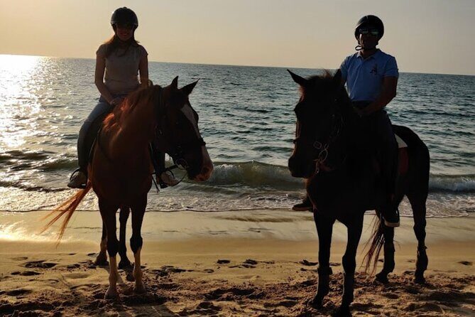 Beach Horse Riding At Sunset In Phuket - The Balance of Pros and Cons