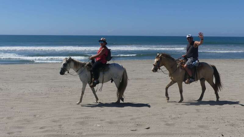 .Beach Horse Riding Turtle Release Crocodile Farm Experience - Visiting Vallarino Turtle Camp