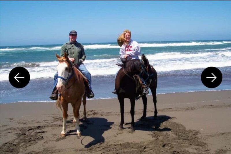 .Beach Horse Riding Turtle Release Crocodile Farm Experience - Practical Tips