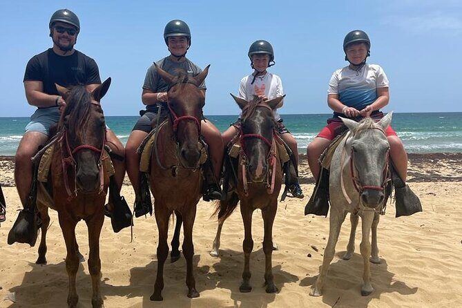 Beach Horseback Ride Tour at Punta Cana - Final Thoughts: Who Should Consider This Tour?