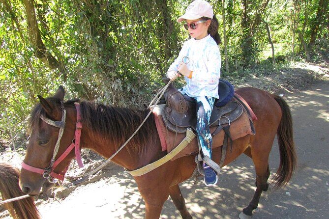Beach Horseback Ride Tour in Puerto Plata - Scenic & Fun for All - Analyzing the Value and Overall Experience