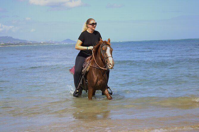 Beach Horseback Riding and Swim Horse in Puerto Plata - Key Points