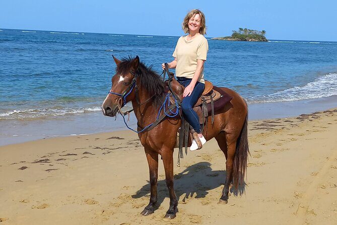 Beach Horseback Riding and Swim Horse in Puerto Plata - An Overview of the Experience