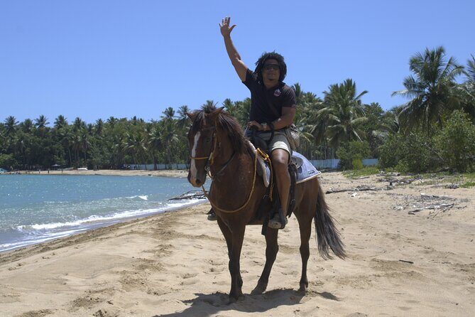 Beach Horseback Riding and Swim Horse in Puerto Plata - Why This Tour Is Worth Considering