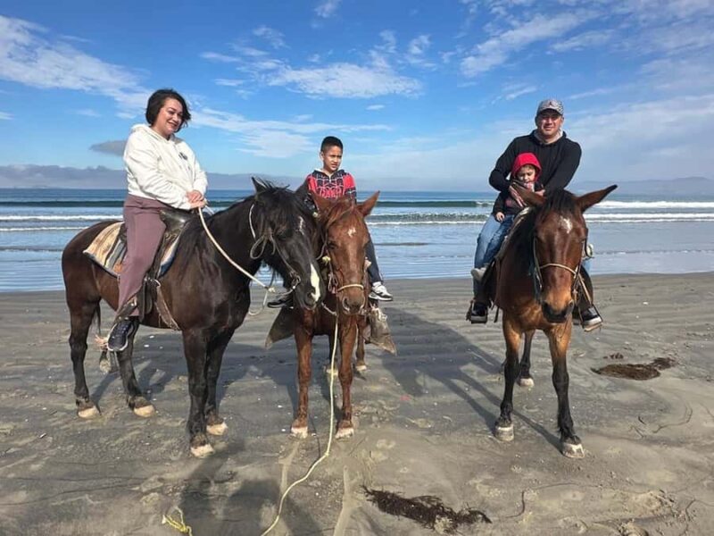 Beach Horseback Riding from the Port of Ensenada - Introduction: A Scenic Ride Unlike Any Other
