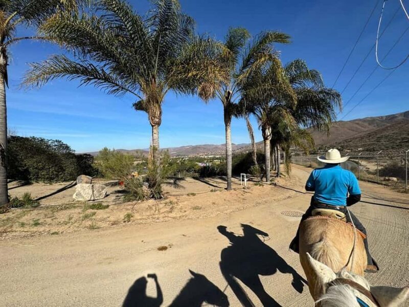 Beach Horseback Riding from the Port of Ensenada - Practical Tips for the Best Experience