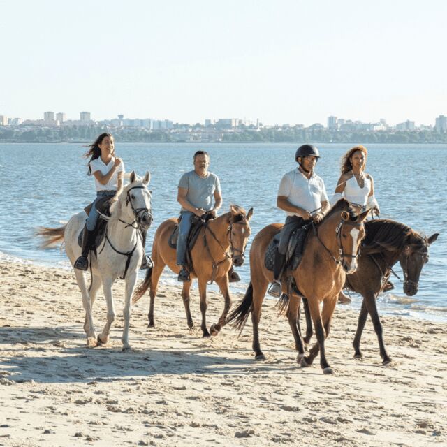 Beach Horseback Riding in GROUP + Photo Report - PDT - Key Points