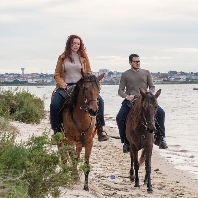 Beach Horseback Riding in GROUP + Photo Report - PDT - Who Will Love This Tour?