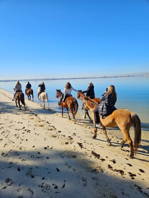 Beach Horseback Riding in GROUP + Photo Report - PDT - FAQs