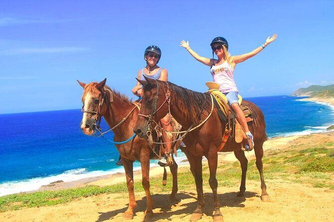 Beach Horseback Riding in Los Cabos - The Experience: What You Can Expect