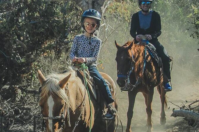 Beach Horseback Riding in Los Cabos - Who Should Consider This Tour?