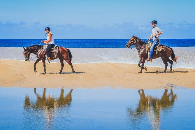 Beach Horseback Riding in Los Cabos - The Sum Up: Why Choose This Experience?