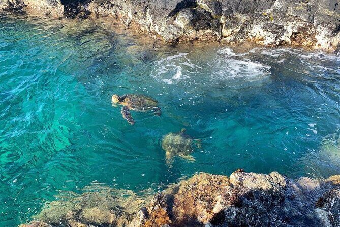 Beach Snorkel - Sea Turtle and Black Sand Lagoon - The Itinerary in Detail