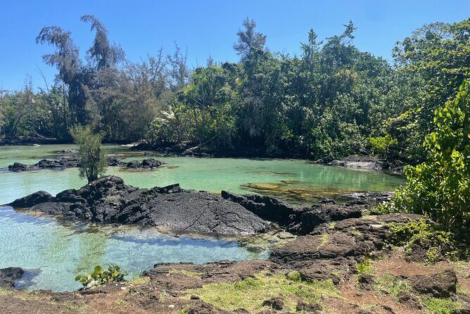 Beach Snorkel - Sea Turtle and Black Sand Lagoon - The Sum Up
