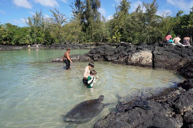 Beach Snorkel - Sea Turtle and Black Sand Lagoon - FAQ