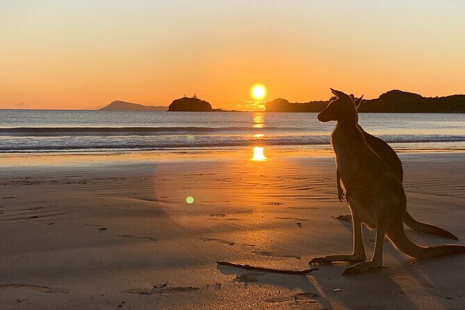 Beach Sunrise with the Wallabies - Key Points