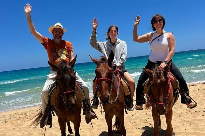 Beach Sunset Horseback Ride in Punta Cana - What to Expect from the Tour