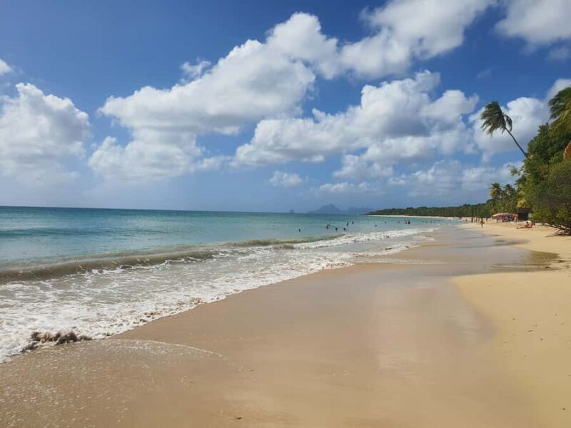 Beach tour and visit to a rum distillery in Le Marin with driver - Key Points