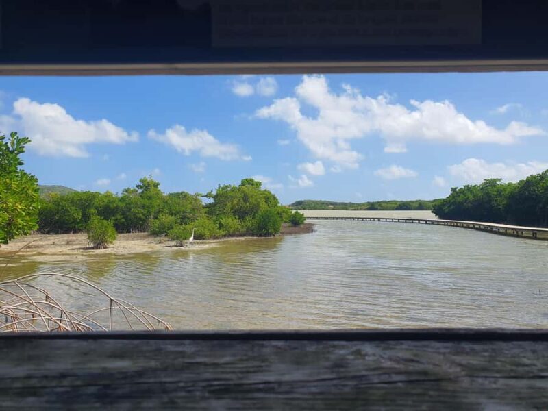 Beach tour and visit to a rum distillery in Le Marin with driver - Exploring Martinique’s South: A Practical Breakdown