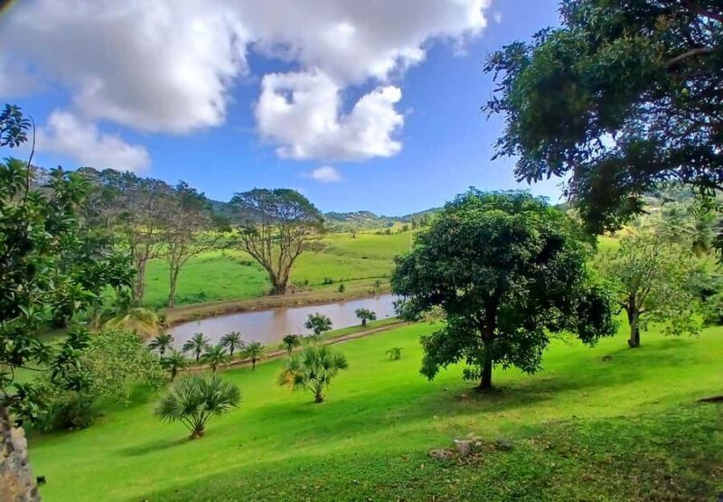 Beach tour and visit to a rum distillery in Le Marin with driver - Who Will Love This Tour?