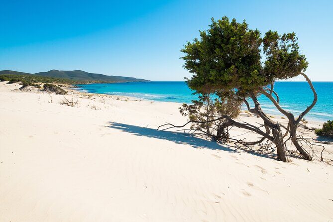 Beach Tour Porto Pino and Piscinnì - Key Points