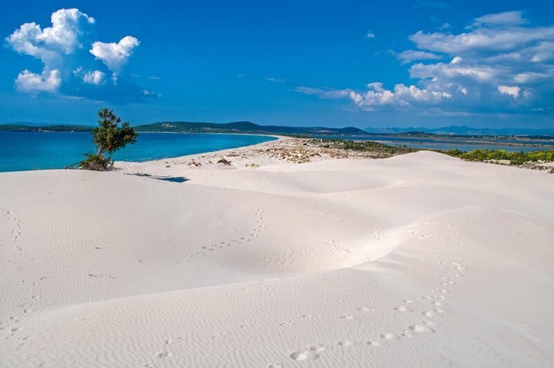 Beach Tour Porto Pino & Piscinnì from Cagliari - Overall Experience and Who It’s For