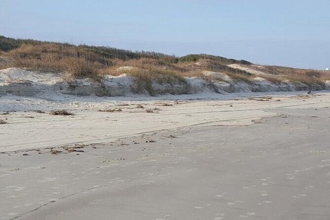Beach Treasure Hunt & Jewelry Workshop! St. Simons Island Beach - Authentic Experiences and Traveler Insights