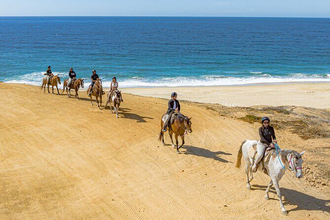 Beach UTV and Horseback Riding in Cabo - Who Should Consider This Tour?