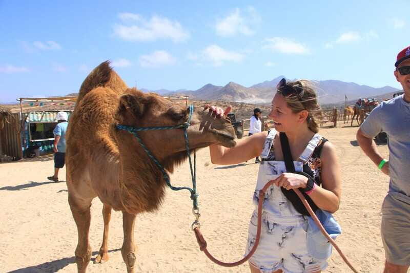 Beach UTV & Camel Ride COMBO in Cabo by Cactus Tours Park - The Bottom Line
