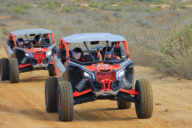 Beach UTV & Camel Ride COMBO in Cabo by Cactus Tours Park - Practical Tips for Participants