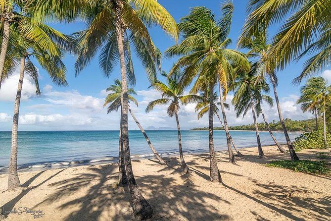 Beachcombing in Paradise South Caribbean V.I.P Tour - Key Points