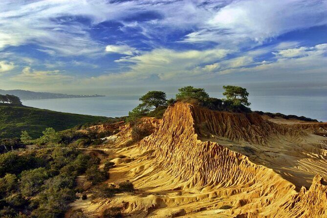 Beaches & Bluffs San Diego's Ultimate Coastal Driving Tour - Beaches & Bluffs San Diegos Ultimate Coastal Driving Tour Review