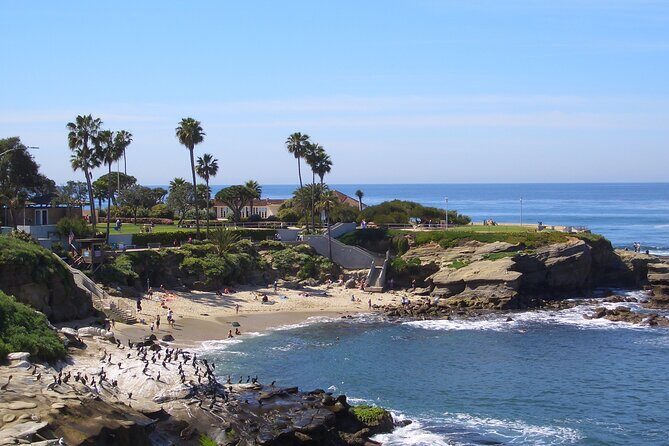 Beaches & Bluffs San Diego's Ultimate Coastal Driving Tour - Practical Aspects and Value for Money