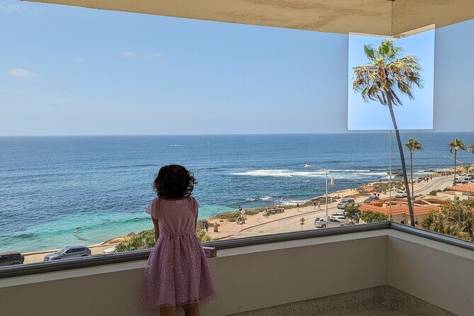 Beaches & Bluffs San Diego's Ultimate Coastal Driving Tour - Who Will Love This Tour?