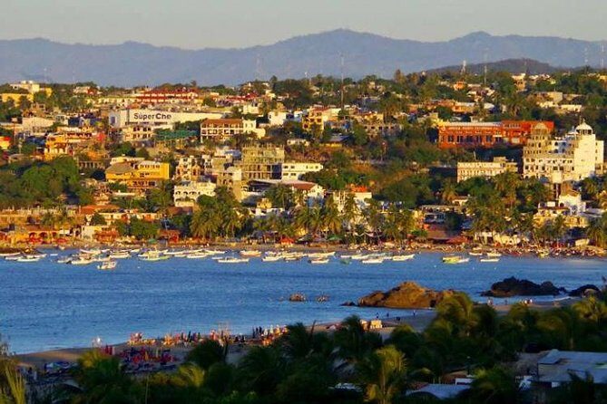 Beaches Dolphins And Viewpoints Discovering The Hidden Port By Sea And Land - Authentic Experiences and Traveler Insights