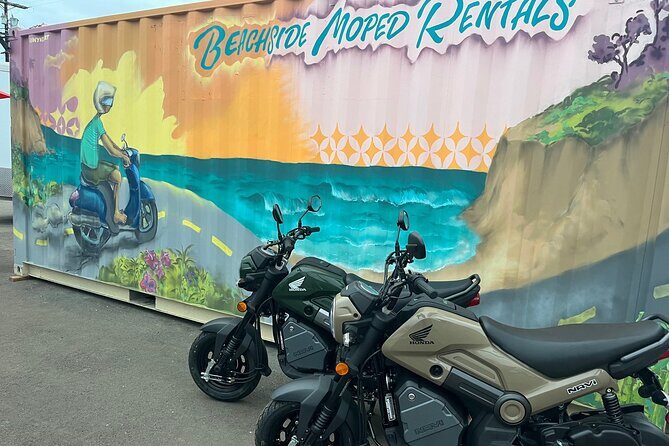 Beachside Moped Rentals - Who Will Love This?