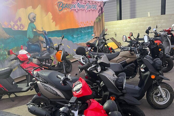 Beachside Moped Rentals - The Sum Up