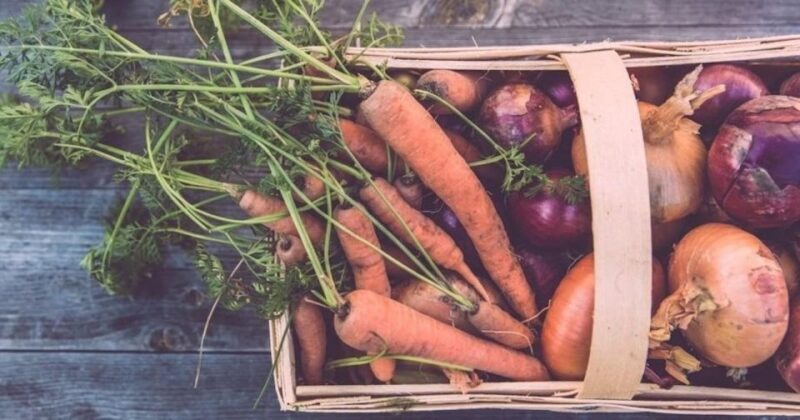 Beacon: Food & Farm Tour in the Hudson Valley - Introduction