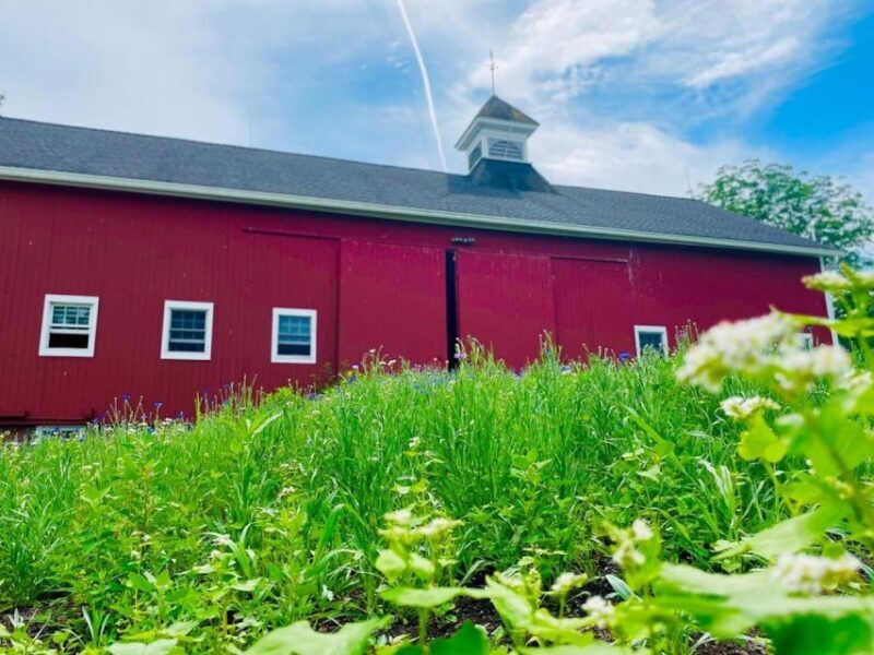 Beacon: Food & Farm Tour in the Hudson Valley - The Farm Visits & Tastings